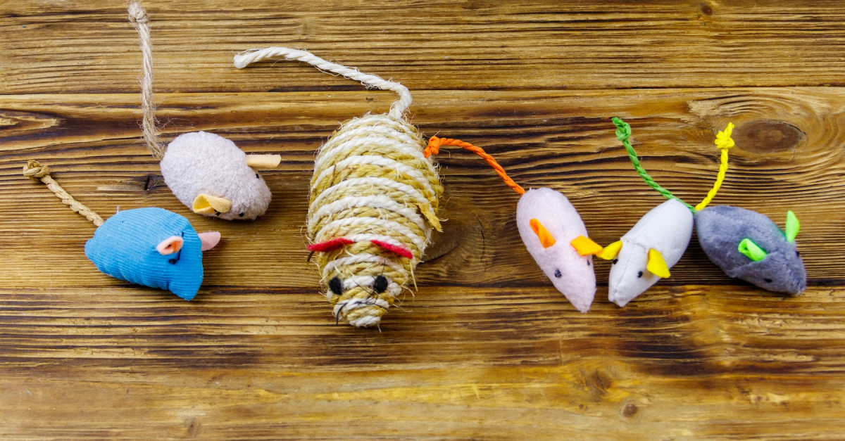 Garder un objet fétiche de son animal après sa mort : quelle utilité et ...