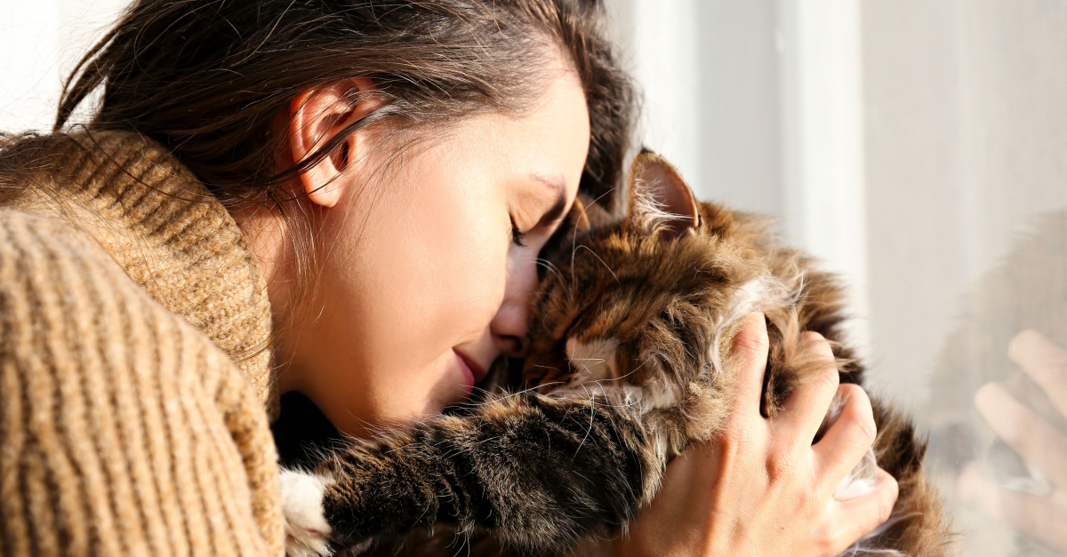 Être présent aux côtés d’un animal en fin de vie : conseils pour se ...